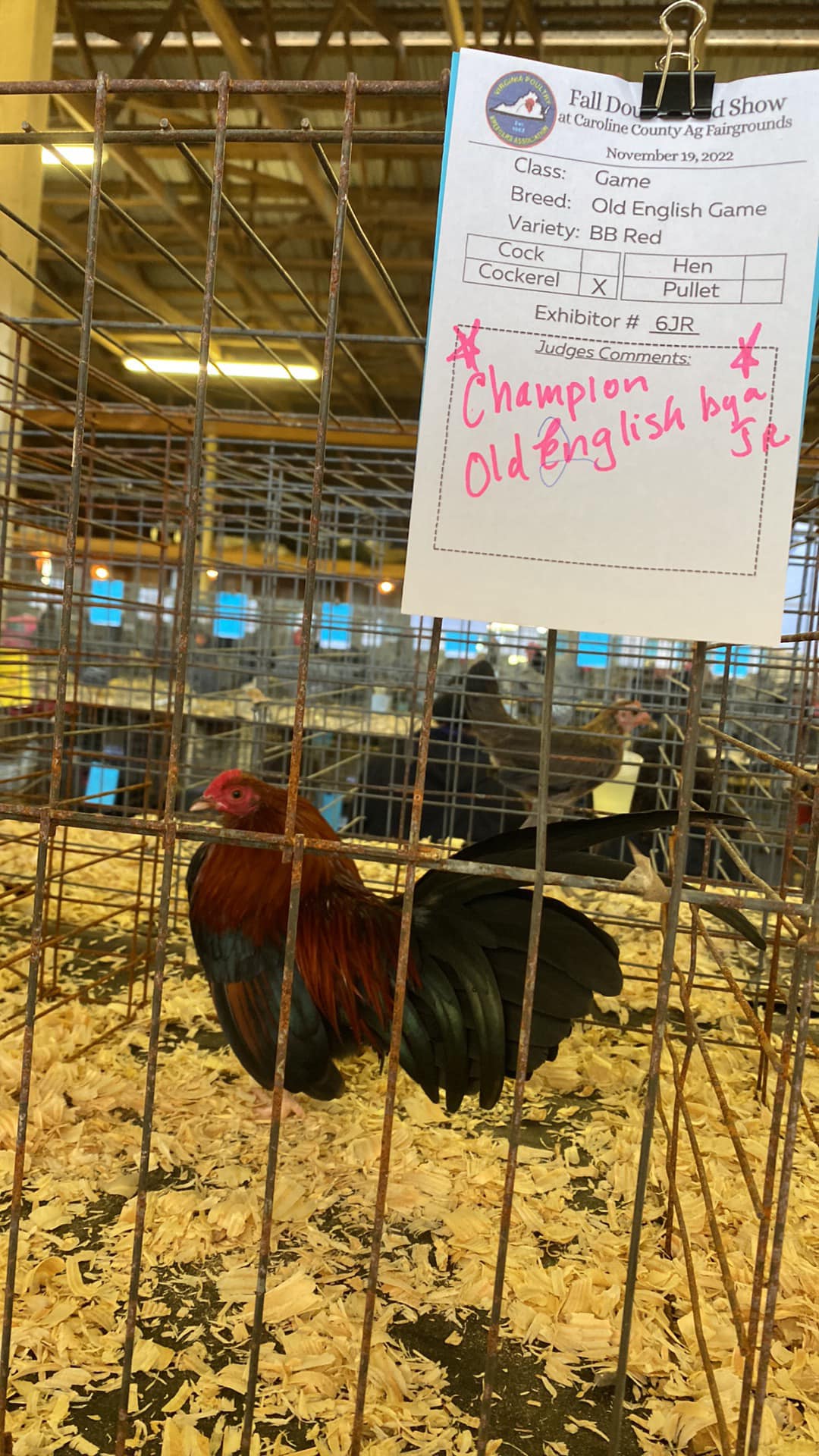 Please enjoy our photo gallery. – Virginia Poultry Breeders Association
